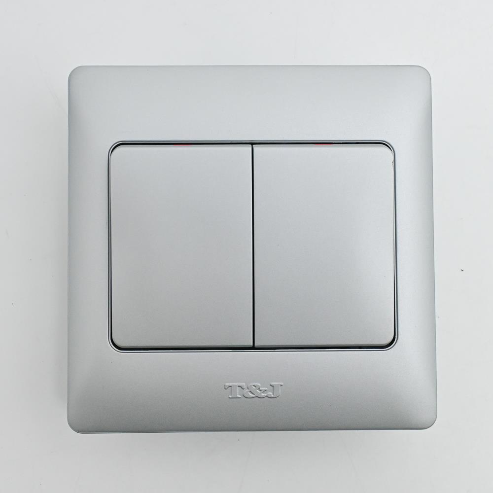 16A 2 GANG 1 WAY SWITCH K272-MSL T&J