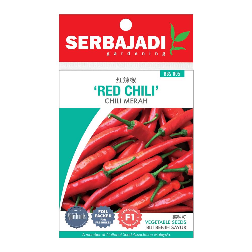 BAJA SERBAJADI RED CHILI VEGETABLE SEED BBS005 1GM