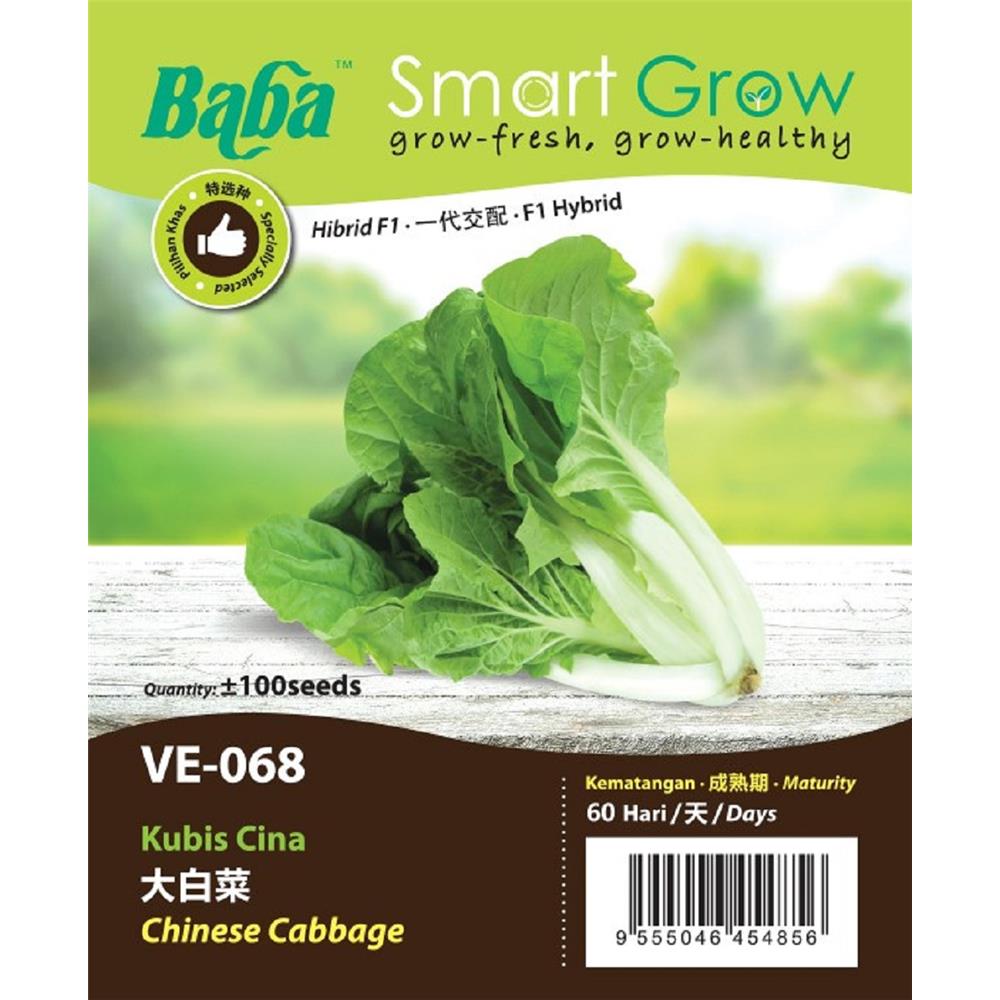 BABA CHINESE CABBAGE SEED VE-068 F1