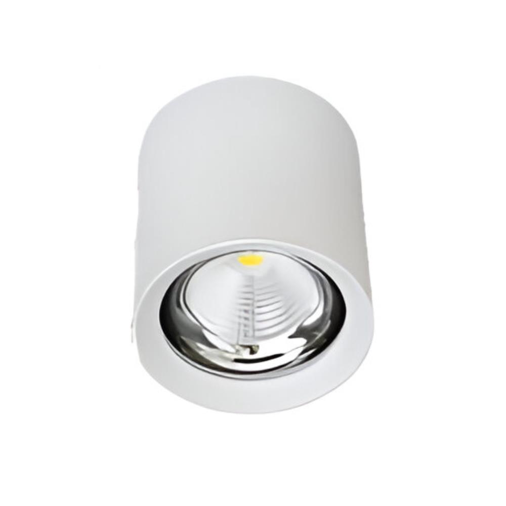 PRE-ORDER BRIGHT OBJECTIVES SURFACE EYEBALL LED B-308-10W 6500K WHITE